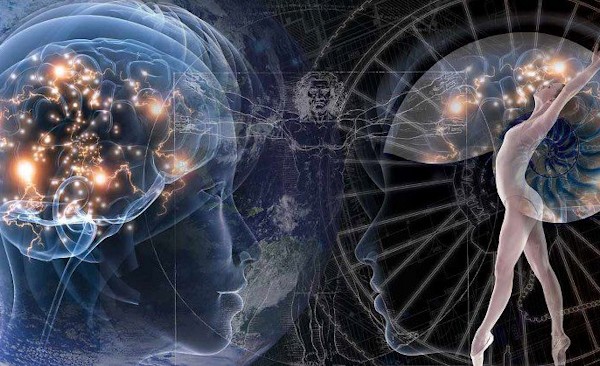 Biophotons The Light Emitted by Organisms in Health and Healing ...